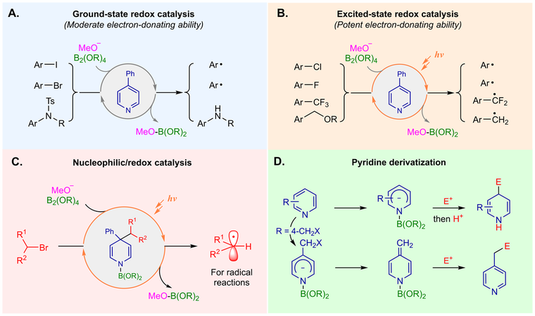 *N*-Boryl pyridyl anion chemistry | Jiao Research Group