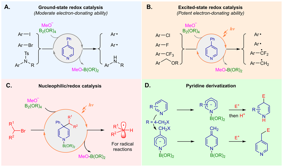 *N*-Boryl pyridyl anion chemistry | Jiao Research Group